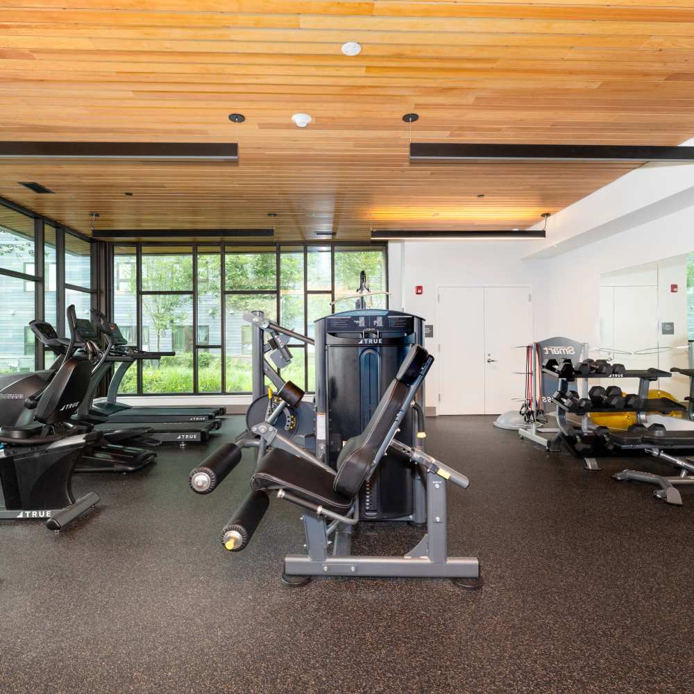 Photo Gallery | NC Five