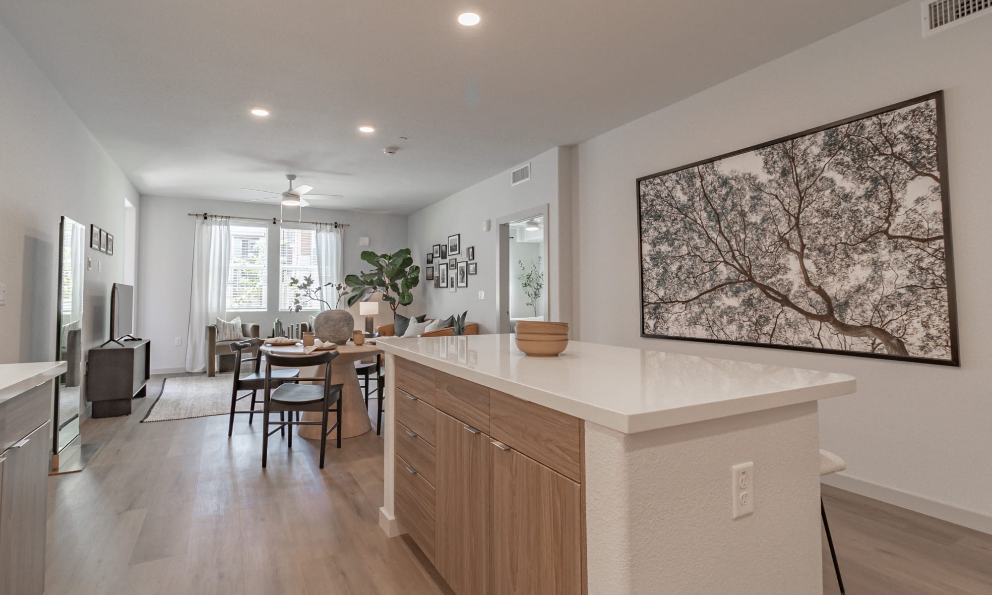 Photos of SoCo Apartments in Napa, California