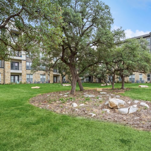 Photos of Radius Wolf Ranch in Georgetown, Texas