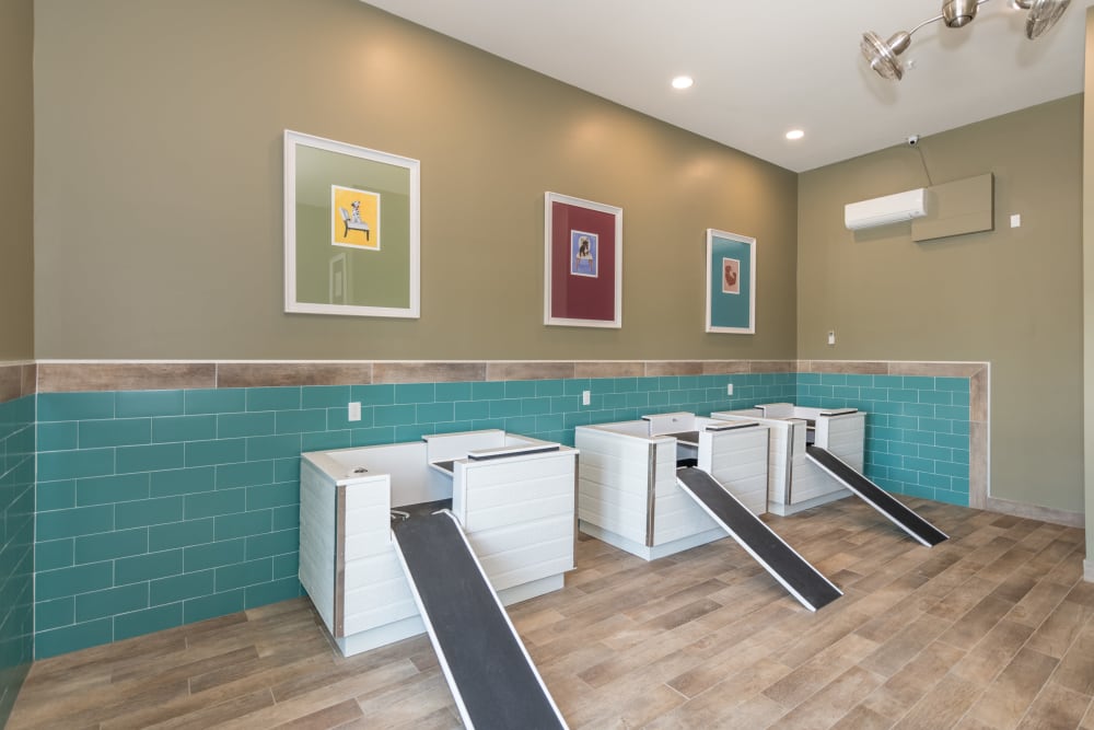 Silver Companies | Multifamily Real Estate