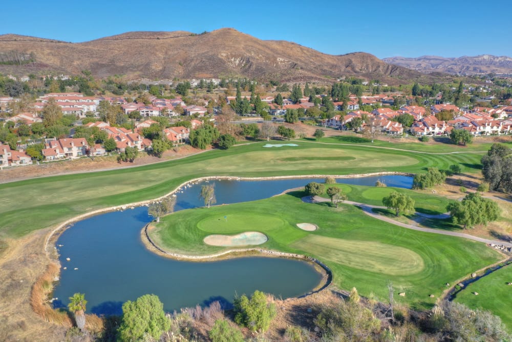 Photos of Sofi at Wood Ranch in Simi Valley, CA