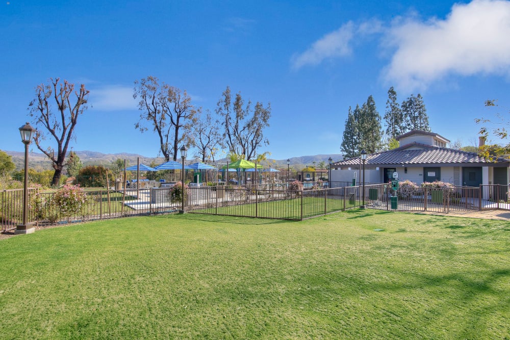 Photos of Sofi at Wood Ranch in Simi Valley, CA