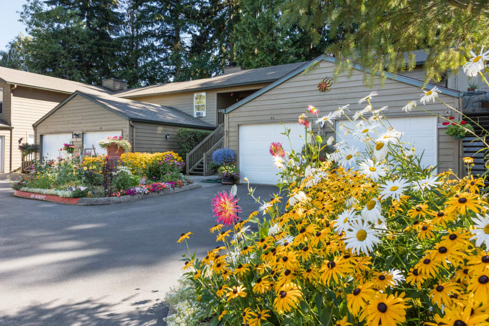 Photos of Terra at Hazel Dell in Vancouver, Washington