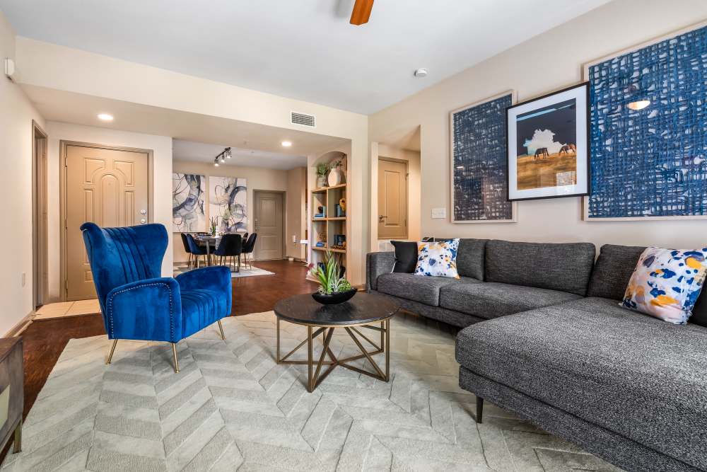 Photos of San Cierra in Houston, TX