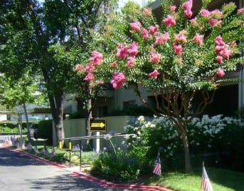 Ray Stone Apartments