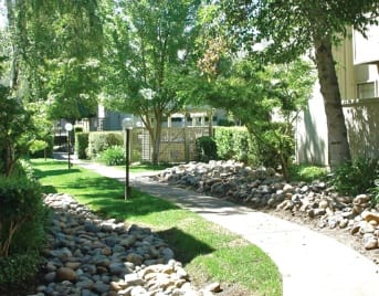 Ray Stone Apartments