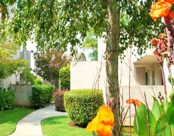 Ray Stone Apartments