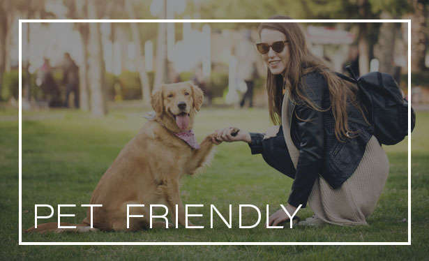 Renton, WA Apartments for Rent near the 405 | Altitude Apartments