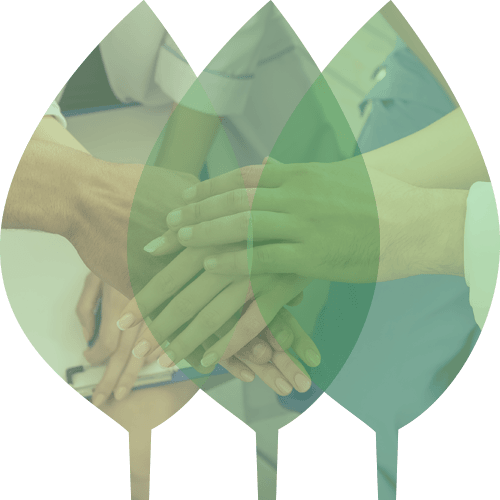 Ascent Living Communities | Senior Living