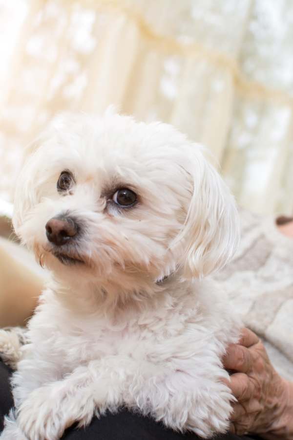 Virtual Tour | Mission Ridge