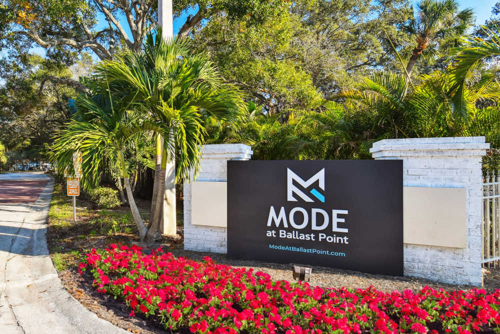 Photos of Mode at Ballast Point in Tampa, FL