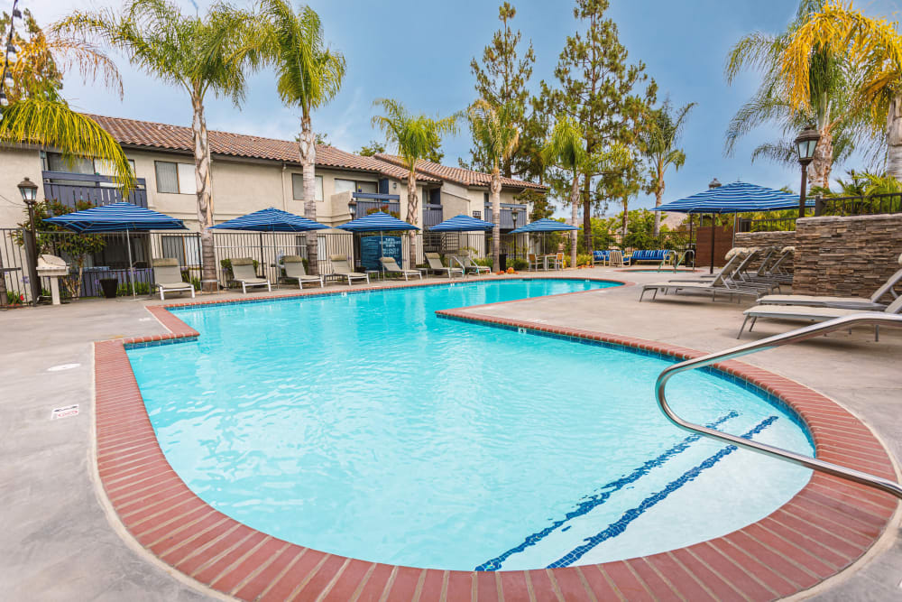 Photos of Sofi at Wood Ranch in Simi Valley, CA